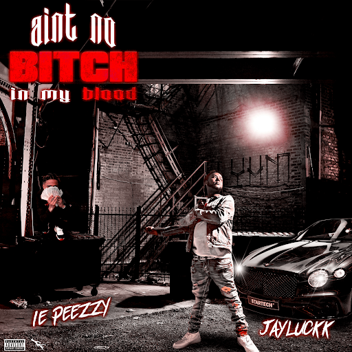 Aint No Bitch In My Blood - YouTube Music