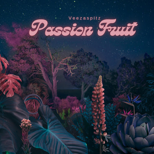 Passion fruit (feat. Sin made it) - YouTube Music