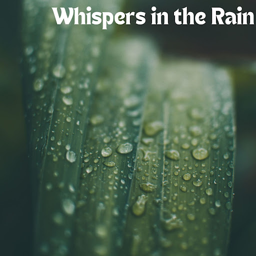 Calming Atmosphere - YouTube Music