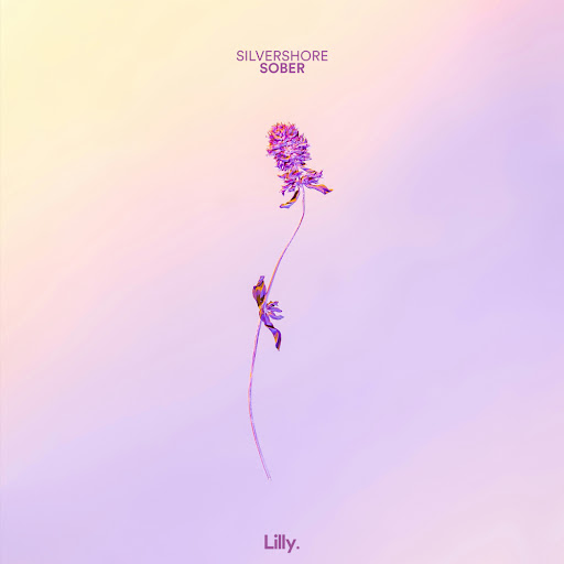 Sober (Extended Mix) - YouTube Music