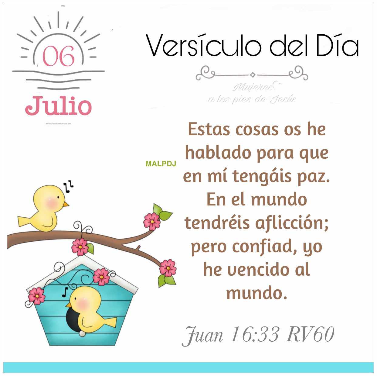 Versículo Del Día: Julio 06 ~ Juan 16:33