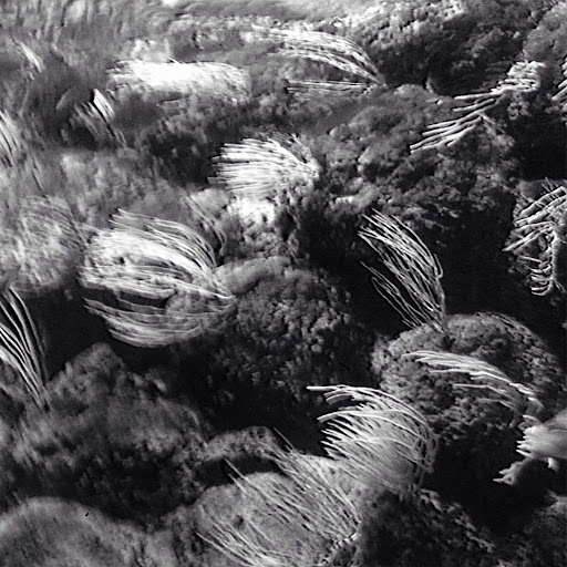 Trying Too Hard (Lullaby) - YouTube Music