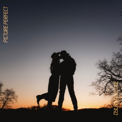 Picture Perfect - YouTube Music