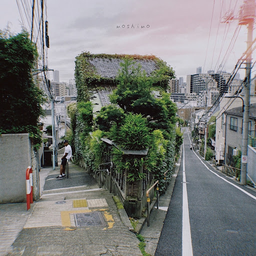 moshimo - YouTube Music