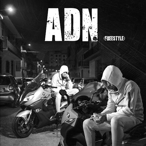 ADN (FreeStyle) - YouTube Music