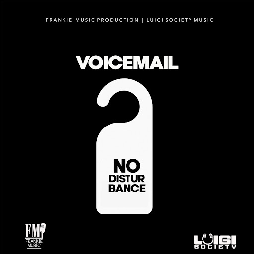 No Disturbance - YouTube Music