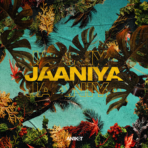 Jaaniya - YouTube Music