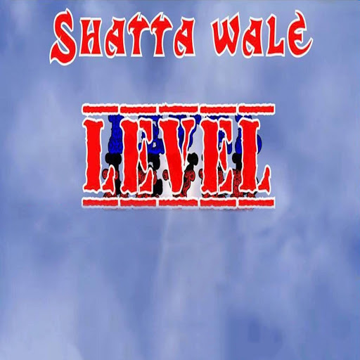 Level - YouTube Music