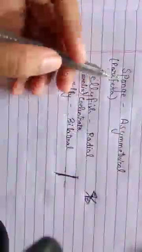 6. Observe and identify body symmetry of given animalsPractical / Projec.. 6. Observe and identify body symmetry of given animalsPractical / Projec..