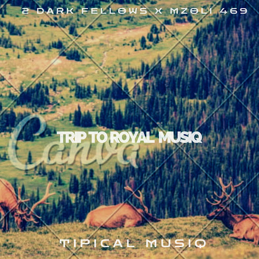 Trip To Royal Musiq (Tipical Musiq) (feat. Mzoli 469) - YouTube Music