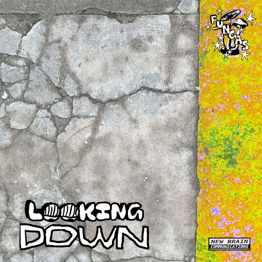 Looking Down - YouTube Music