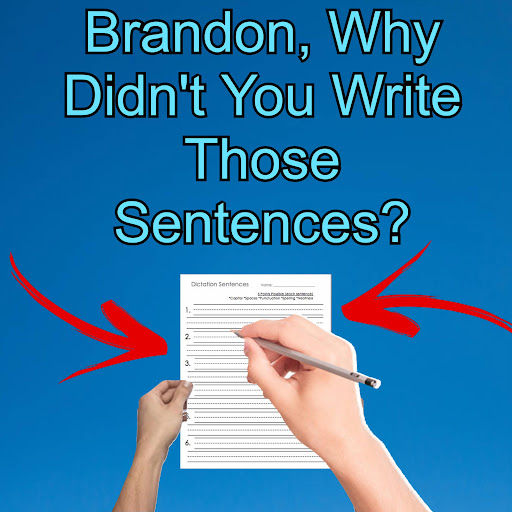 Brandon, Why Didn't You Write Those Sentences? - YouTube Music