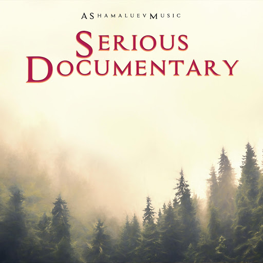 Serious Documentary - YouTube Music