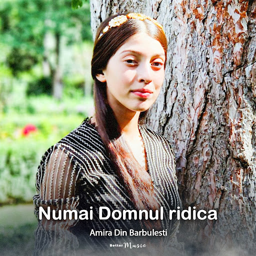 Numai Domnul ridica - YouTube Music