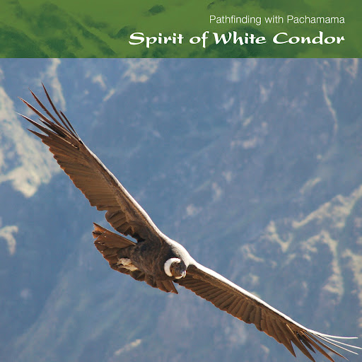 Spirit of White Condor - YouTube Music