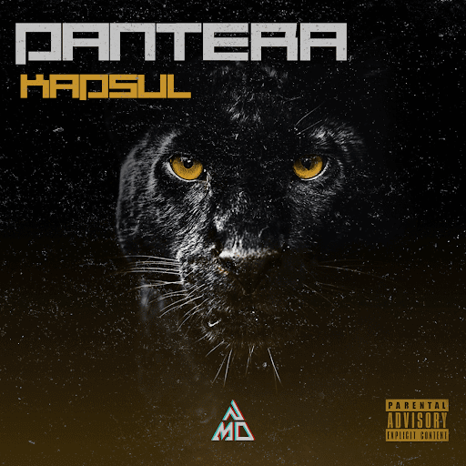 Pantera - YouTube Music
