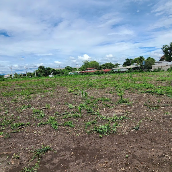 ที่ดิน ขาย (฿39,720,000), PC76+6HV อำเภอปากช่อง นครราชสีมา | Orbzu