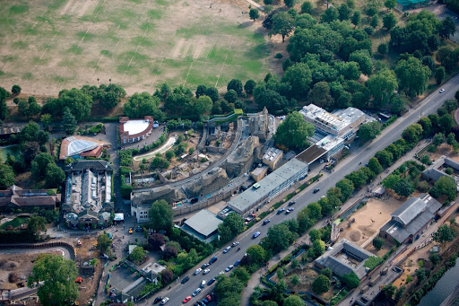 The Mappin Terraces, London Zoo, Regent's Park, Westminster, Greater ...