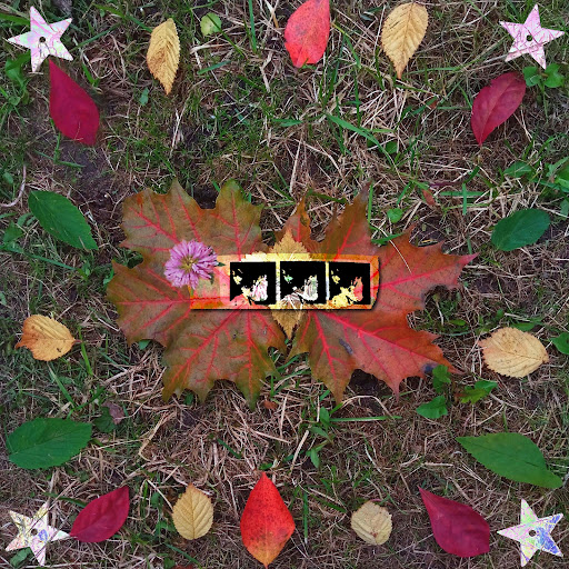 unfortunate man lullaby - YouTube Music