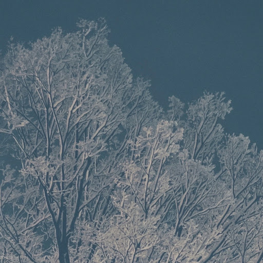 Setsu - YouTube Music