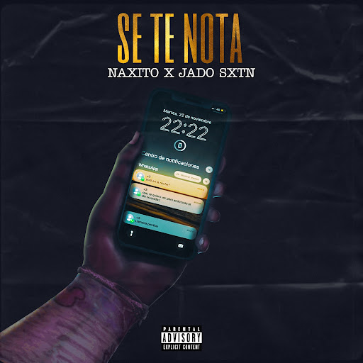Se Te Nota - YouTube Music