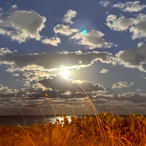 Moon Waltz - YouTube Music