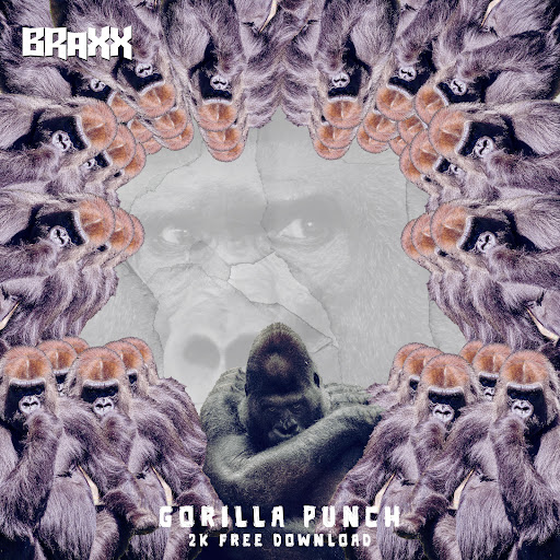 Gorilla Punch - YouTube Music