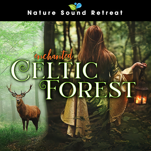 Deep Sleep Celtic Meditation - Celtic Music with Chimes, Birds ...