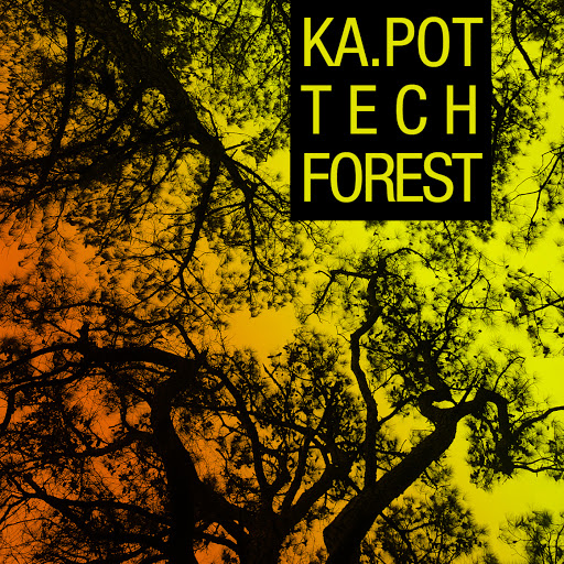 Tech Forest (Original Mix) - YouTube Music