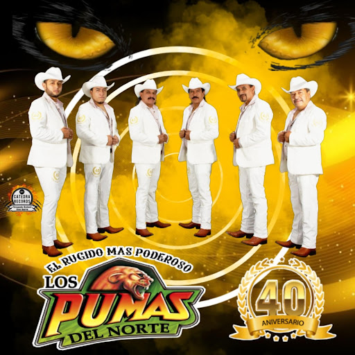 El de San Luis (feat. Los Caciques de San Luis) - YouTube Music