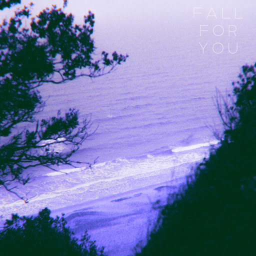 Fall For You - YouTube Music