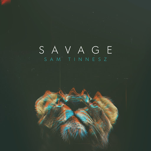 Savage - YouTube Music