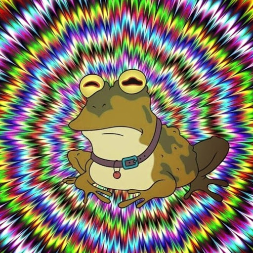 Frog bass - YouTube Music