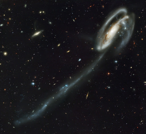 The Tadpole Galaxy: A Hubble Image Tour — Google Arts & Culture