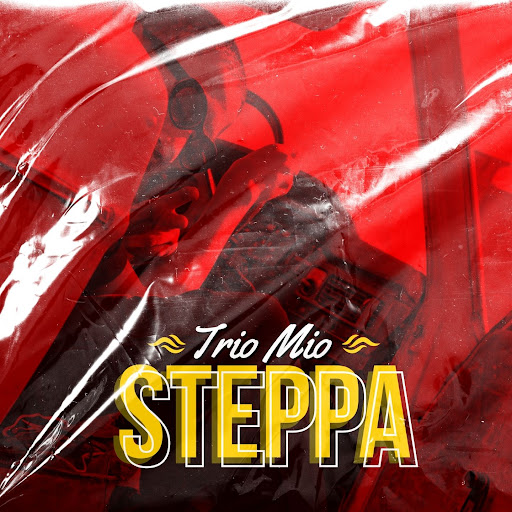 Steppa - YouTube Music