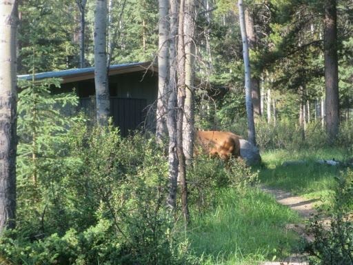 RV Parky | RV Parks & Campgrounds Directory, Reviews, Photos