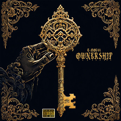 Ownership - YouTube Music