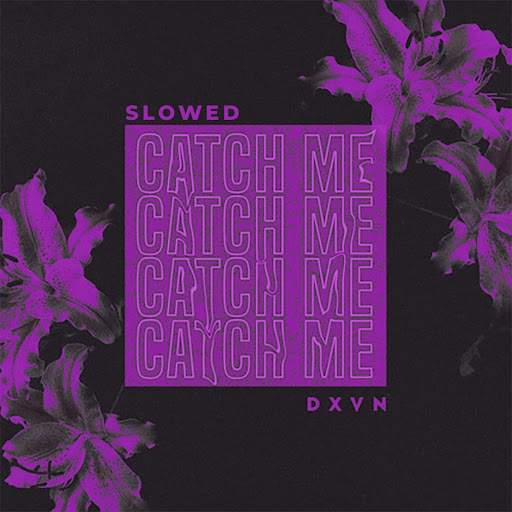 Catch Me (Slowed + Reverb) (Slowed) - YouTube Music