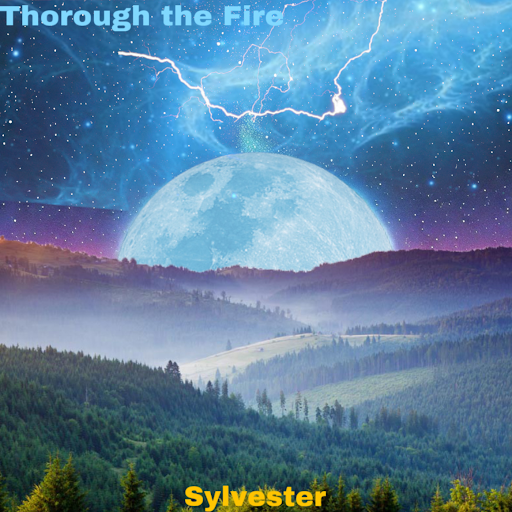 Through the Fire - YouTube Music