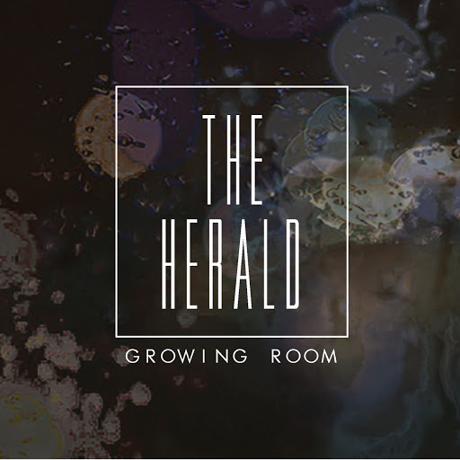 Insignificant Other - YouTube Music