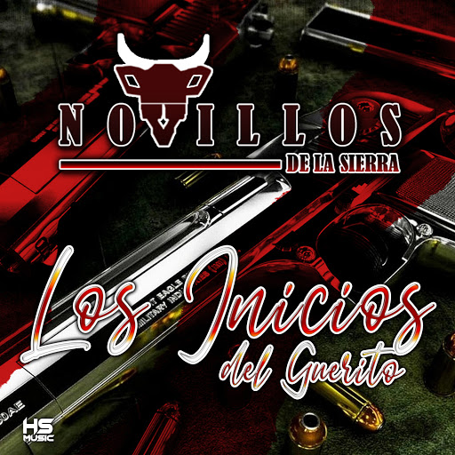 Los Inicios del Guerito - YouTube Music