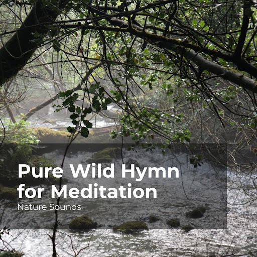 Symphonious Ocean - YouTube Music