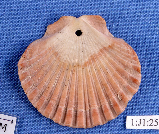 The Hohokam: The Land & The People — Google Arts & Culture