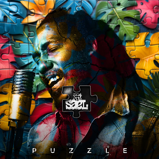 Tous les cris les SOS (Bonus Track) - YouTube Music