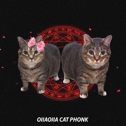 OIIAOIIA CAT PHONK - YouTube Music