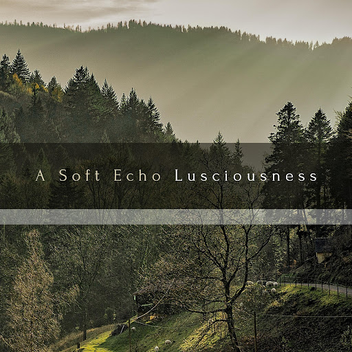 A Soft Echo - YouTube Music
