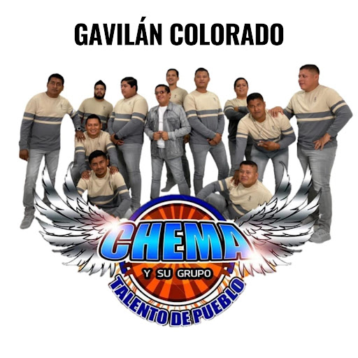 Gavilán Colorado - YouTube Music