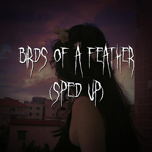 birds of a feather (sped up) - YouTube Music