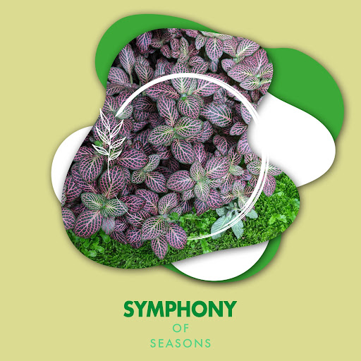 A Spring Morning: Brooks Copse - YouTube Music