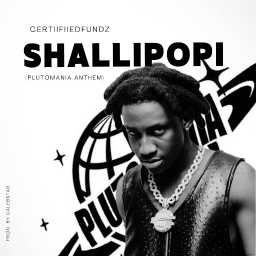 Shallipopi (Plutomania Anthem) - YouTube Music